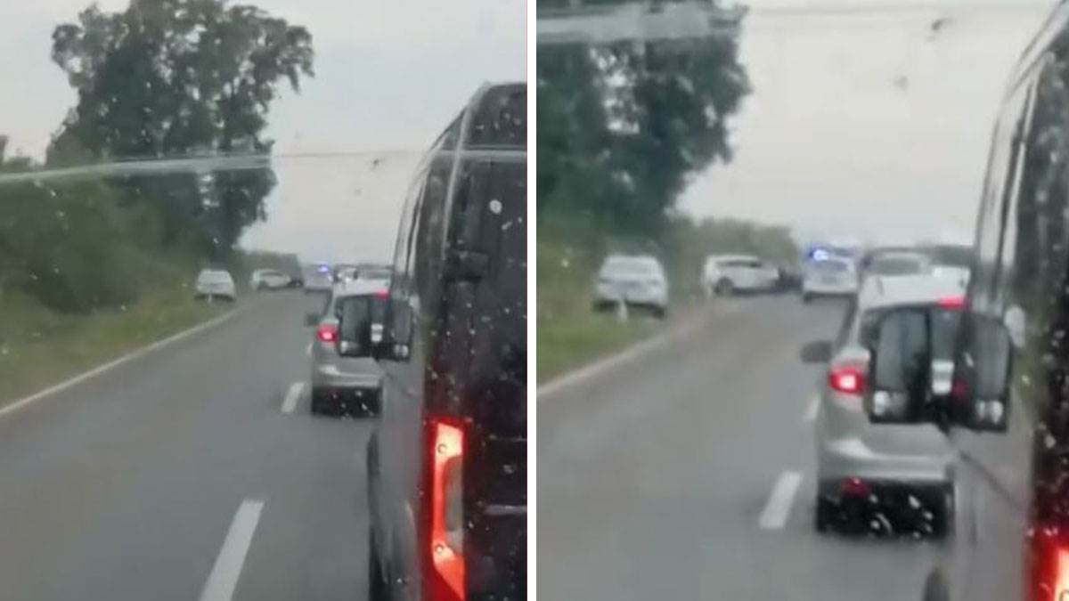 Automobil udario u drvo kod Vršca | Mondo