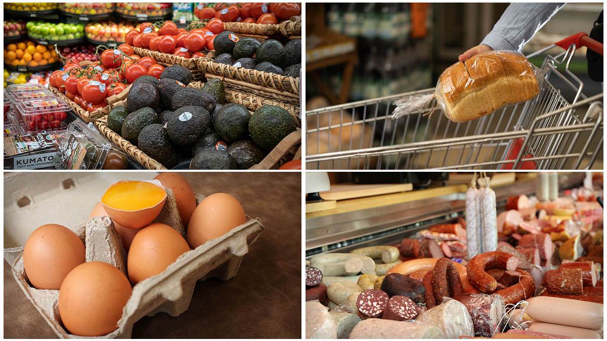 Nova piramida ishrane | Mondo