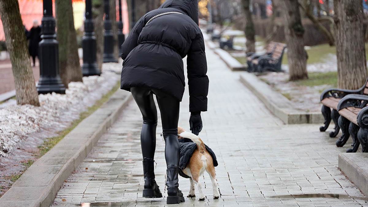 5 grupa ljudi koji nikada ne bi trebalo da imaju psa | Mondo