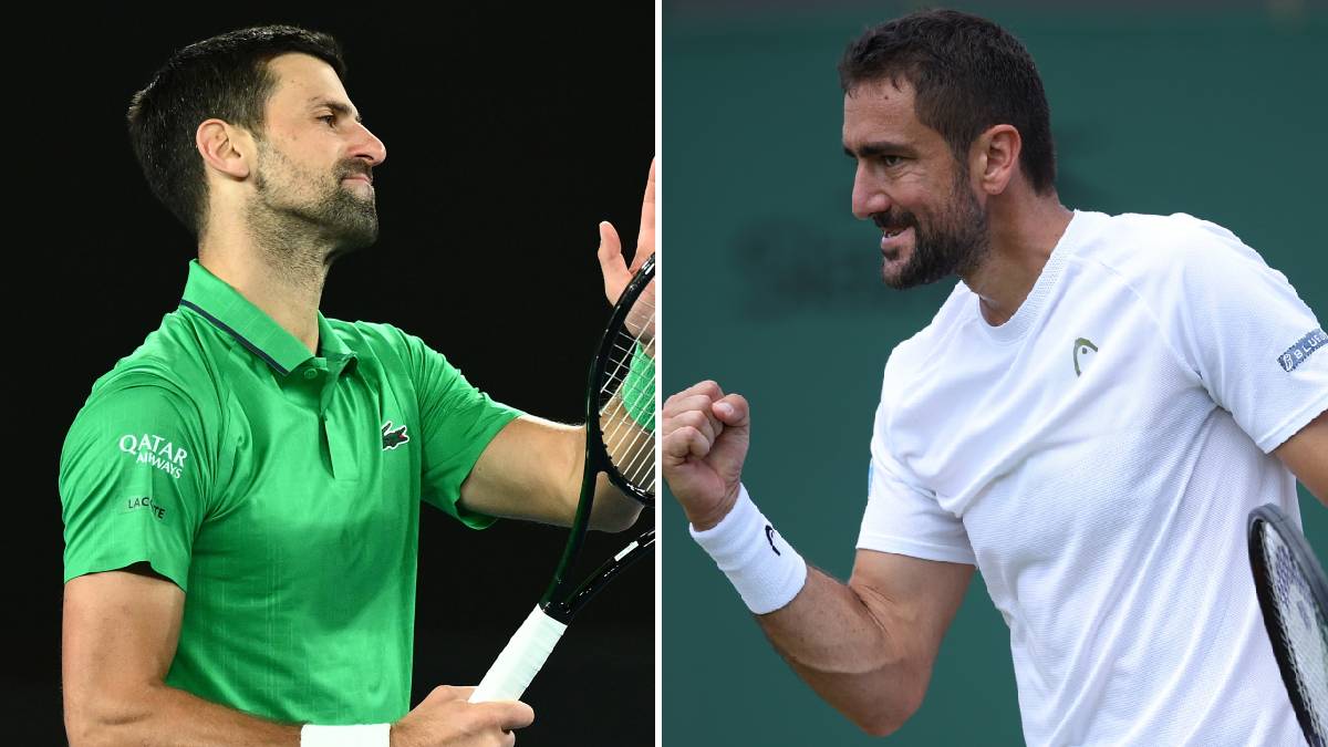 Čilić: Đoković me motiviše da i dalje igram tenis | Mondo