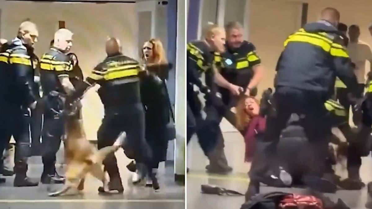 olicajci oborili i vukli trudnicu po podu | Mondo