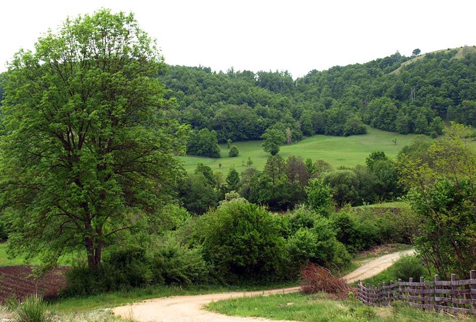 Fruška gora - mladić pao mrtav, telo pet sati bilo ispred prodavnice ...