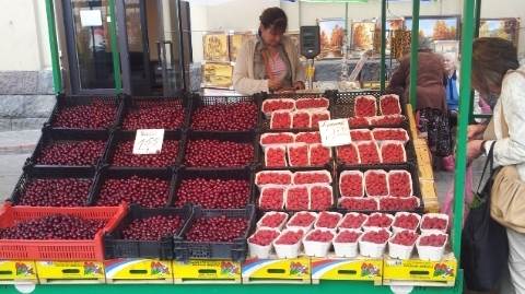 voce maline sljive poskupljenje cena | Mondo