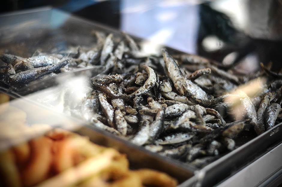 Koja je najbolja riba | Mondo