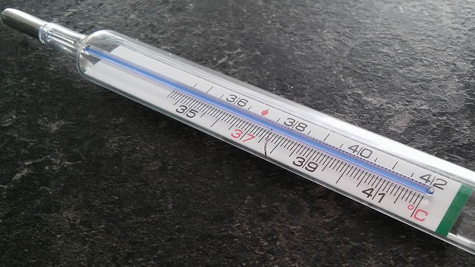 Da li može da se kupi toplomer sa živom | Mondo