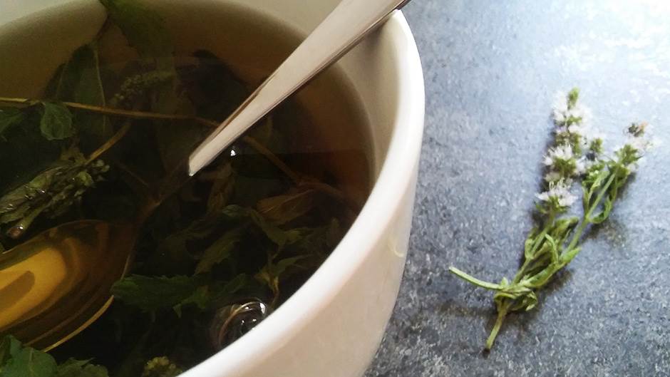 Čaj od rastavića | Mondo