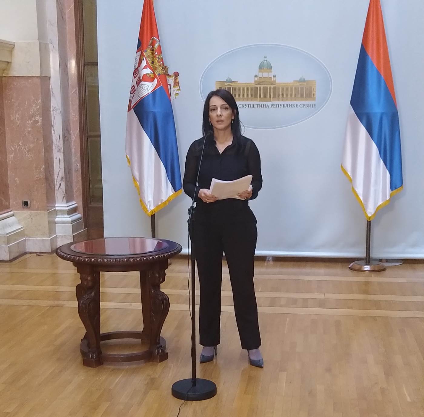 Marinika Tepić - Slobodan tešić - trgovina oružjem | Mondo