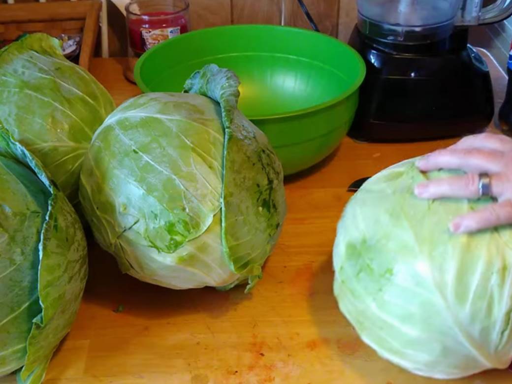 Kiseli kupus kako ukiseliti kupus brzo za 12 sati recept | Mondo