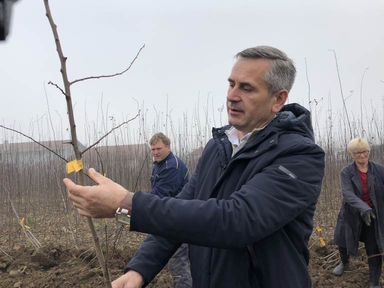 sadnja biznis posao lesnik sadnice voće proizvodnja | Mondo