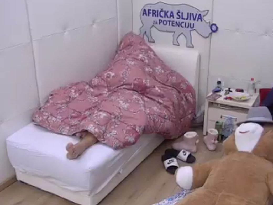 zadruga najnovije vesti janjus maja akcija u krevetu | Mondo