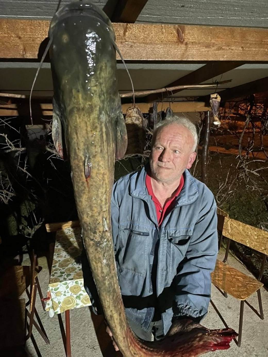 somovi pecanje topola milosav pantic | Mondo