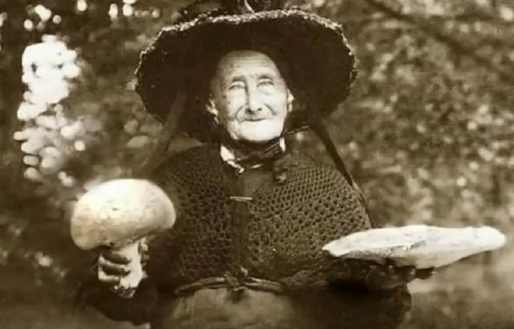 baba anujka prvi serijski ubica u srbiji banatska vestica trovacica ...