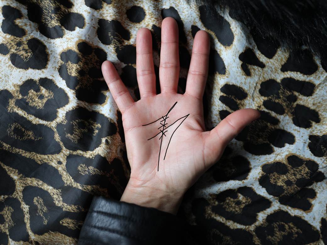 sta znace linije na dlanu | Mondo