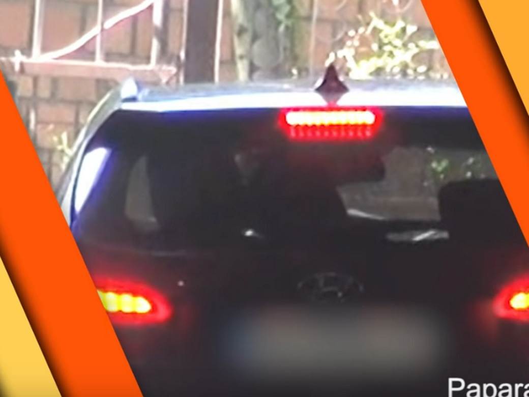 djole djogani paparaco lov video | Mondo
