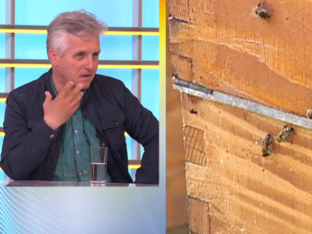 pravi med kako prepoznati lazni med razlike | Mondo