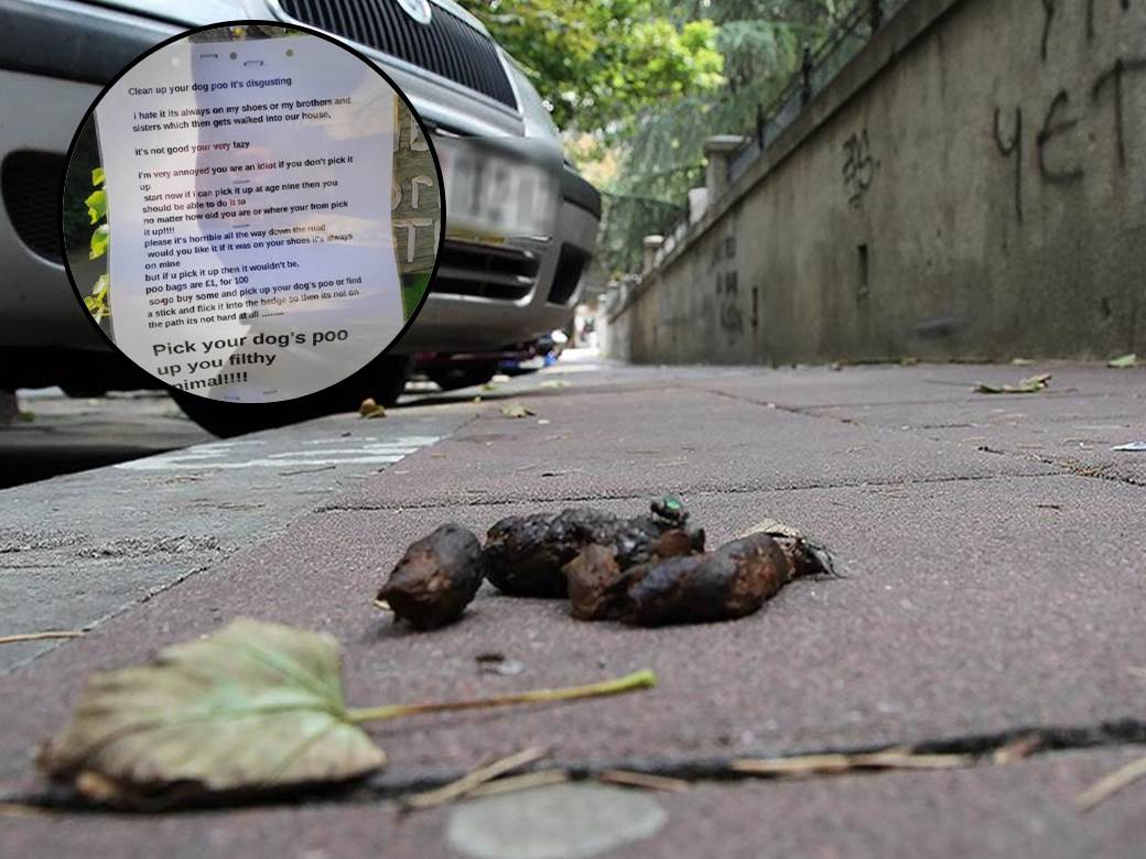 pseci izmet na putu decak pismo | Mondo