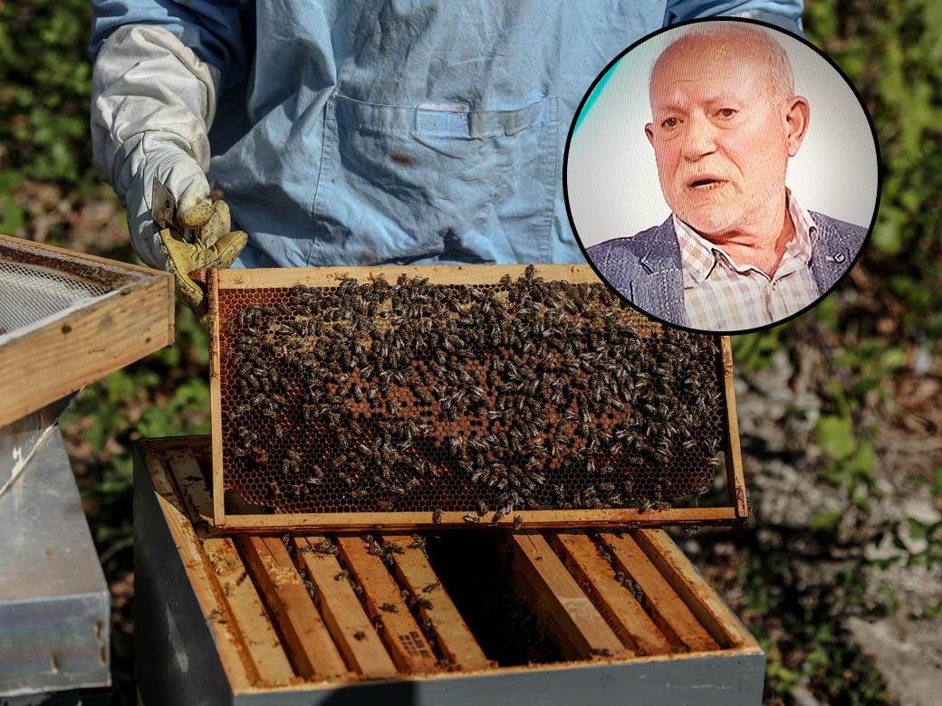 apiterapija lecenje pcelama pcelinji otrov udisanje vazduha iz kosnice ...